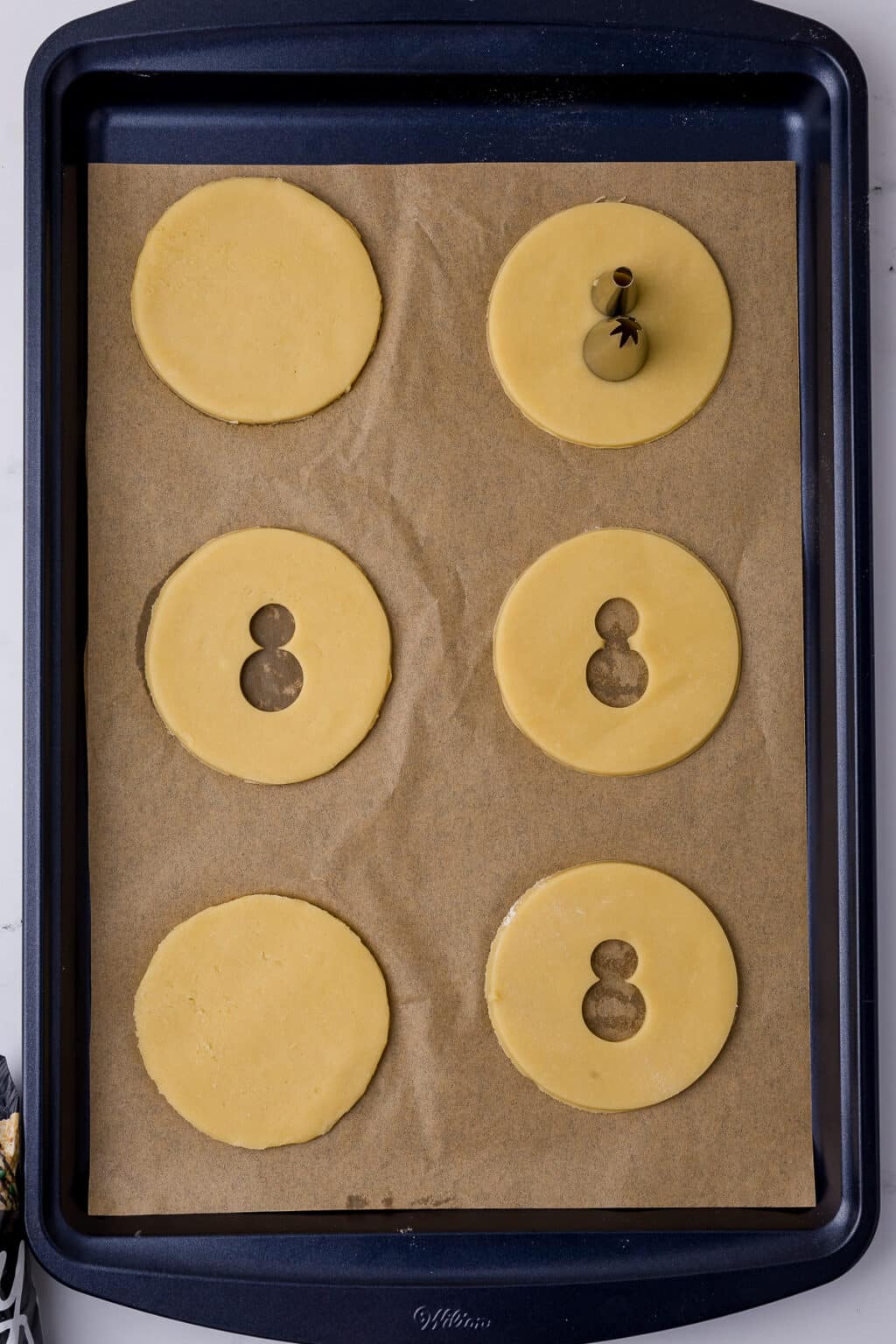 Spooky Spider Halloween Sugar Cookies - She Shared